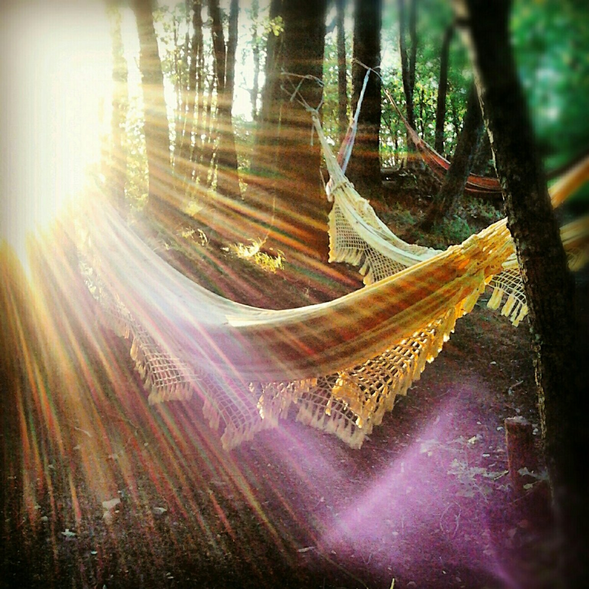 La libertà di una camera con (s)vista. Costruire un’amaca per ...